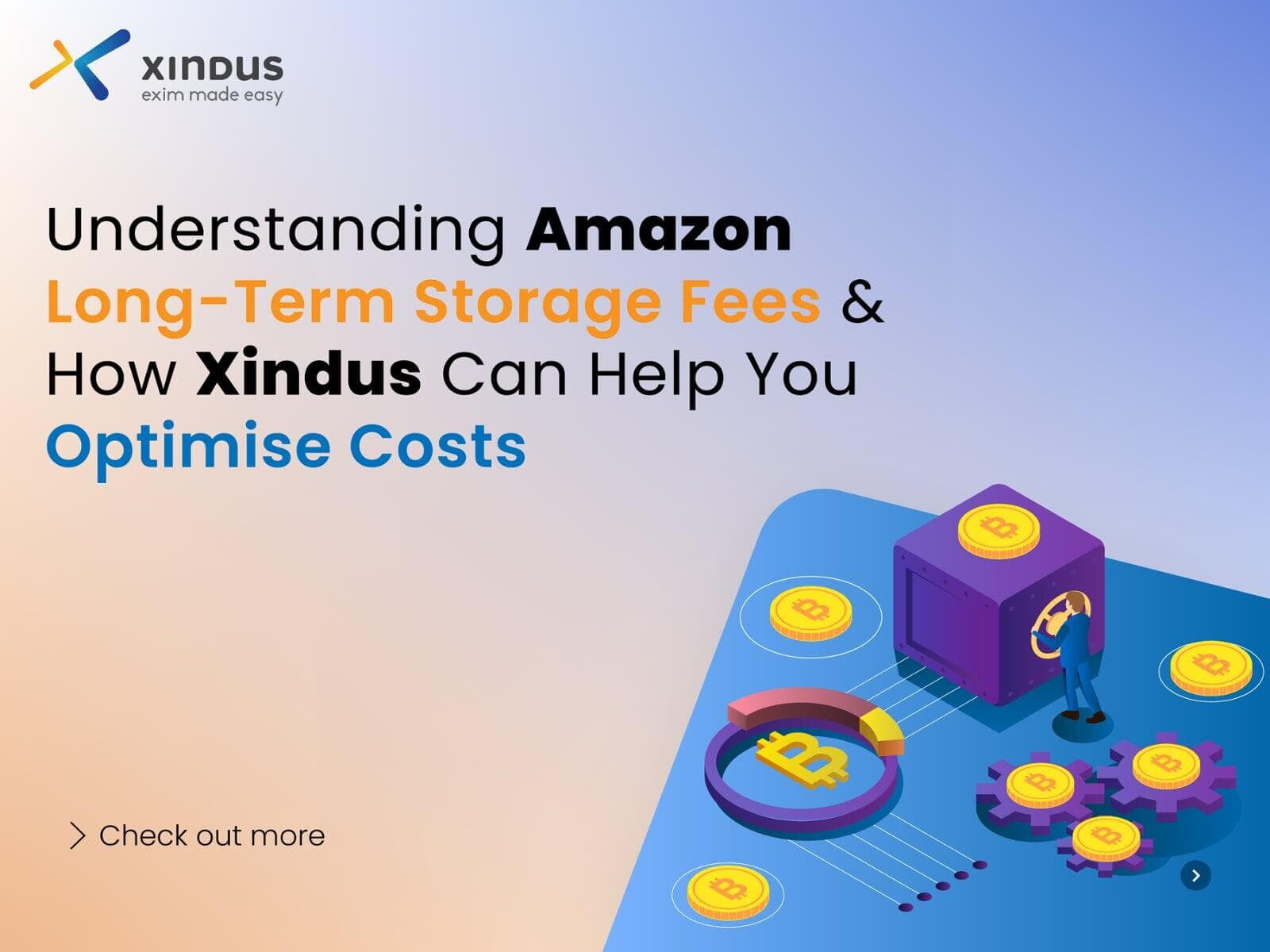 UNDERSTANDING AMAZON LONG-TERM STORAGE FEES & HOW XINDUS CAN HELP YOU ...